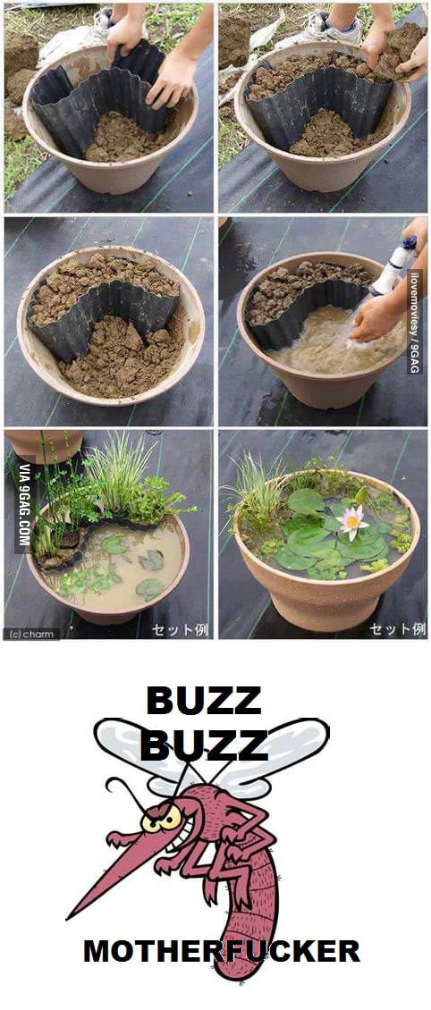 BUZZ, BUZZ, MOTHERF**KER - 9GAG