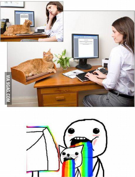 Asdfjkl; - 9GAG
