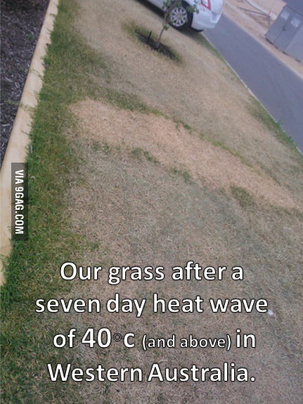 Meanwhile in Western Australia. - 9GAG