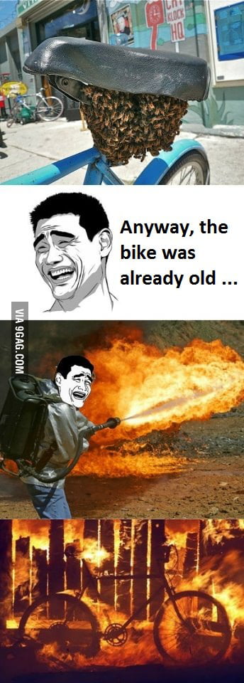 Was the only solution ... - 9GAG