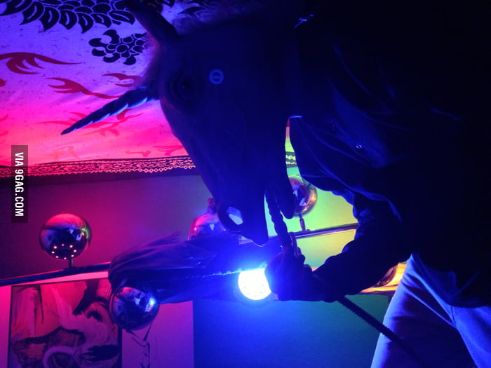 Oh you know, just a unicorn smoking hookah on a Saturday. - 9GAG