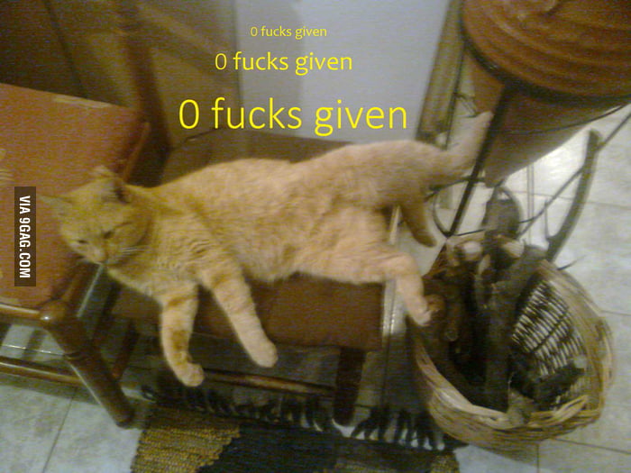 Asked my cat to get off my chair... - 9GAG