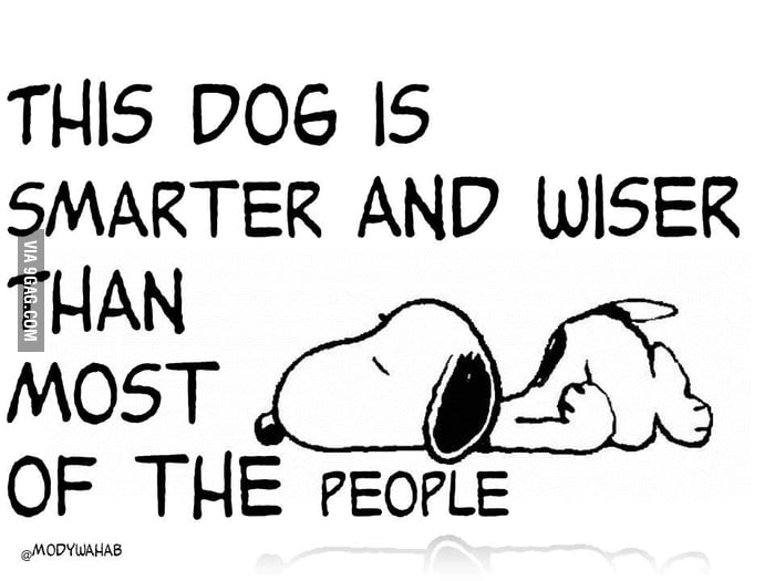 Wise Snoopy is Wise - 9GAG