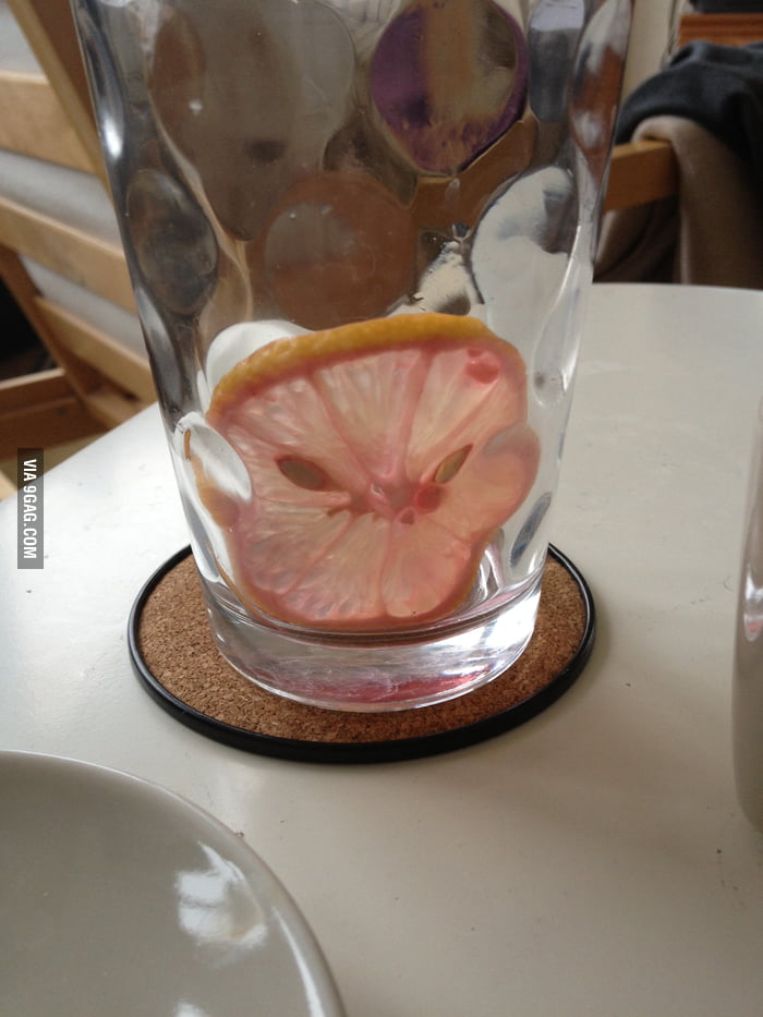 Grumpy cat in my drink - 9GAG