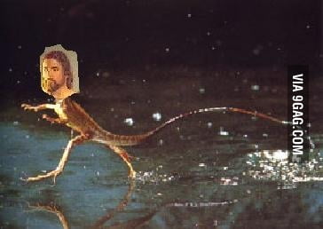 Jesus Christ lizard!! - 9GAG