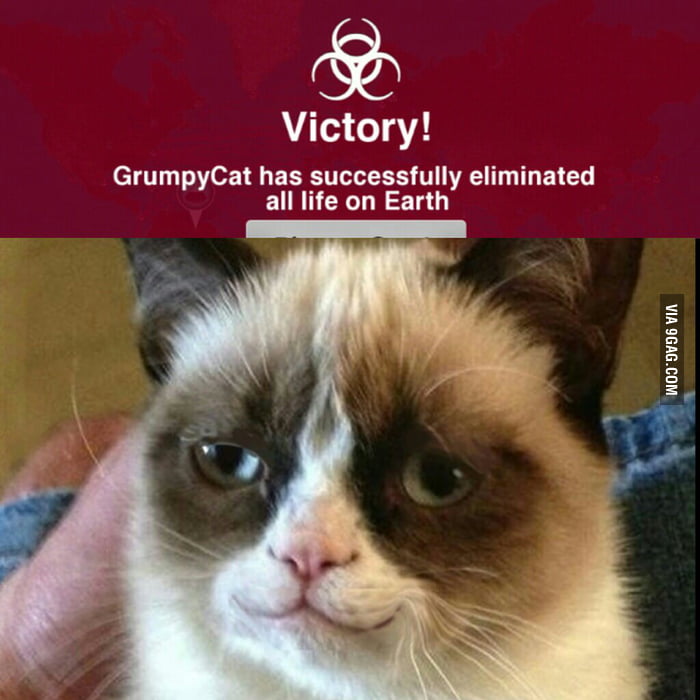 Grumpy Cat strikes again! - 9GAG
