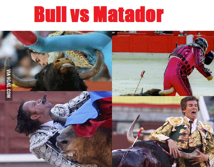 Bull vs Matador - 9GAG