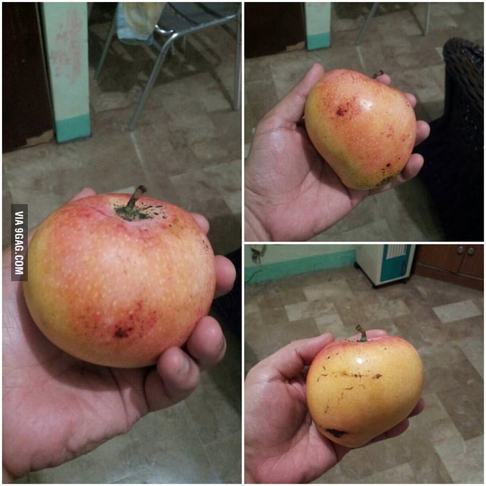 A mango or an apple? Maybe both? - 9GAG