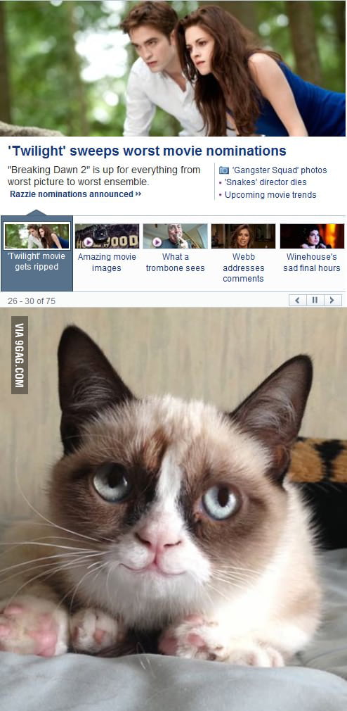 Grumpy Cat Approves - 9GAG