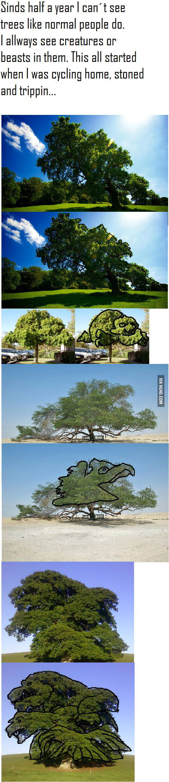 The way I look at trees - 9GAG