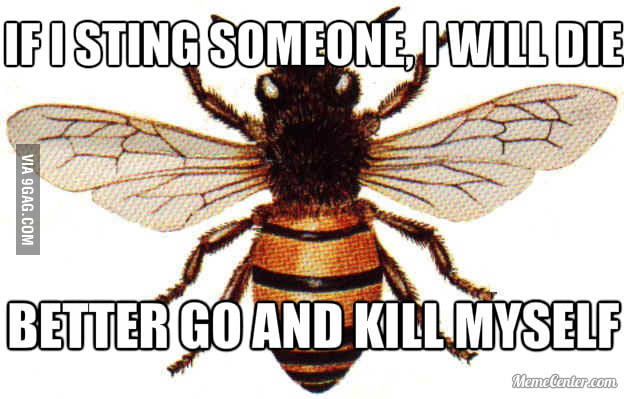 Honey Bee Logic - 9GAG