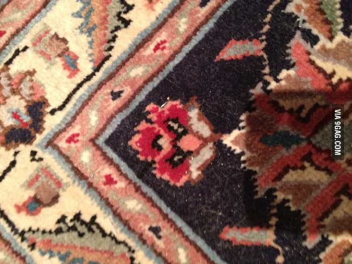 Just noticed the design on my rug looks like an angry bird - 9GAG