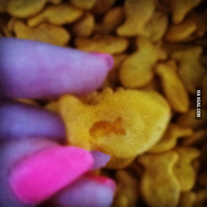 Fish inside a fish.. fishception. - 9GAG