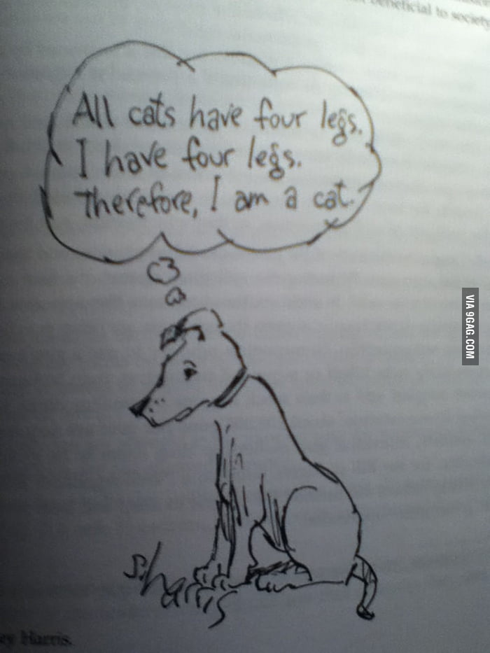 Go home cat, you're Dog. - 9GAG