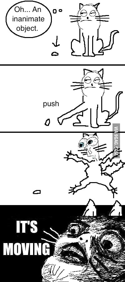 Cats Logic - 9GAG