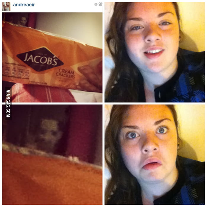 Shitting bricks - 9GAG