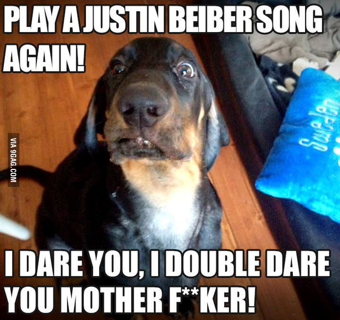 Coonhond Cooper dares you to play Justin again. - 9GAG