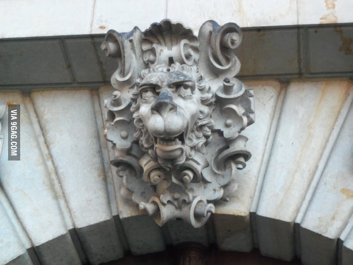 Ahhhh... not again ! - 9GAG