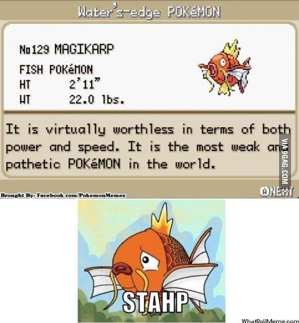 Staaaaaahp! - 9GAG