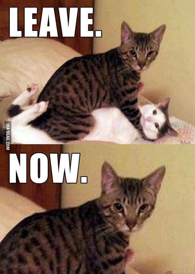 Leave...Now - 9GAG