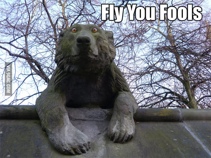 Fly you fools - 9GAG