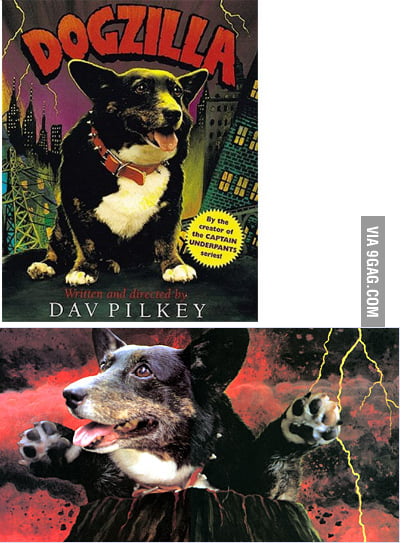 I saw your Kat Kong and challenge you with a Dogzilla! - 9GAG