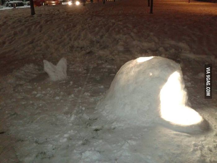 Hello Mr. Snowhale! : ) - 9GAG