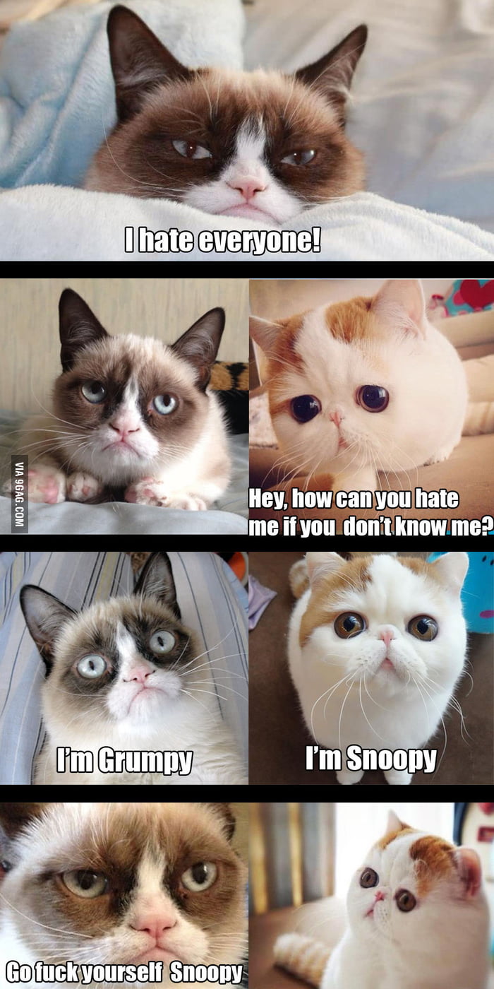Grumpy Cat Meets Snoopy Cat - 9GAG