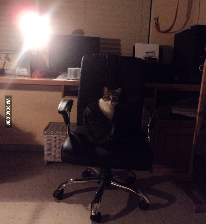 We meet again, Mr. Purr. - 9GAG