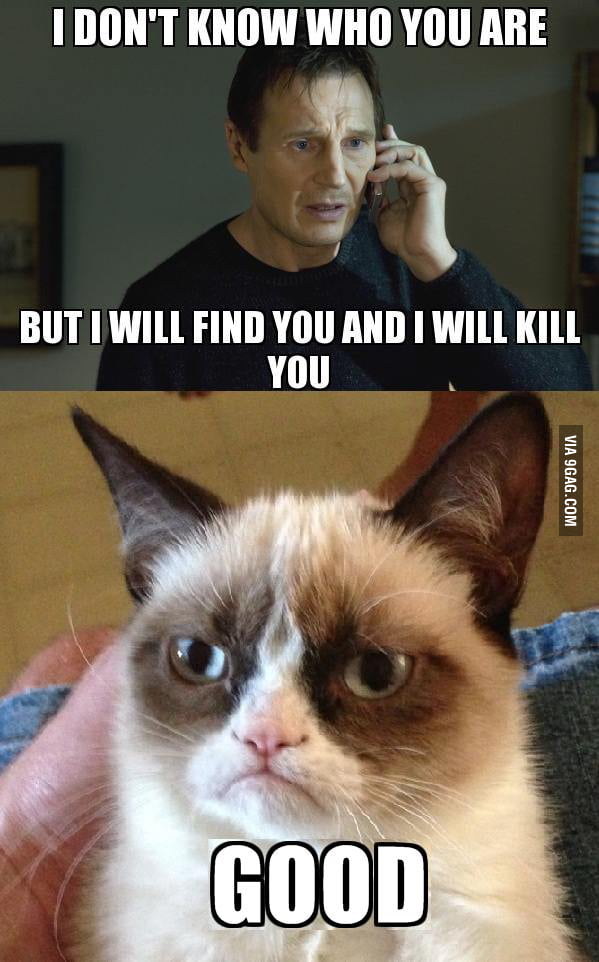 Grumpy cat - 9GAG