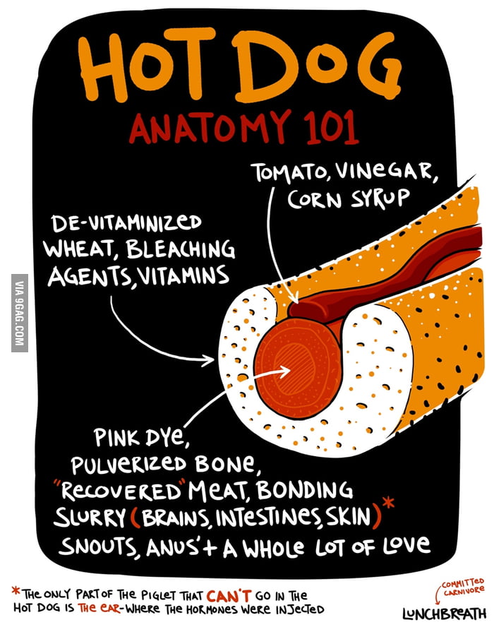 Hot Dog Anatomy - 9GAG