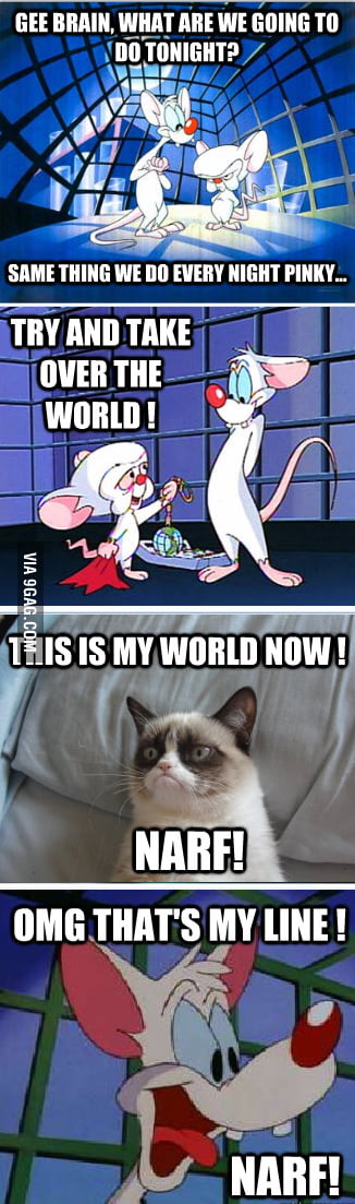 Pinky and the Brain, NARF ! - 9GAG