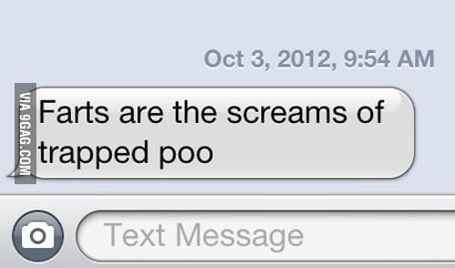 Farts are the screams of trapped poo. - 9GAG