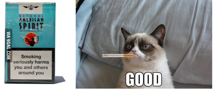 Oh grumpy cat - 9GAG