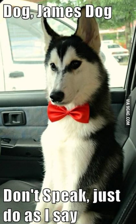 James Dog 00Bone - 9GAG
