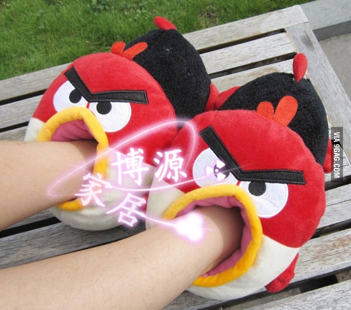 Angry birds slippers - 9GAG