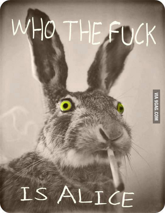 Alice? Who the f*** is Alice? - 9GAG