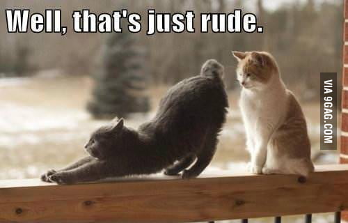 Well, that´s just rude. - 9GAG