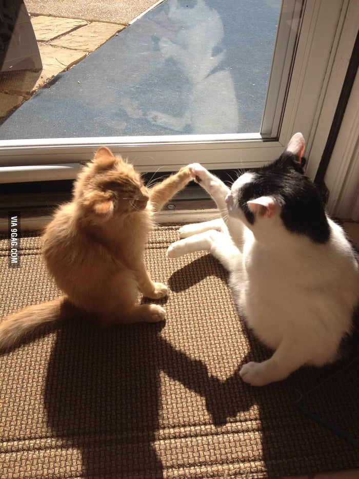 High Five! - 9GAG