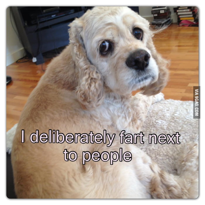 Cute and disgusting - 9GAG