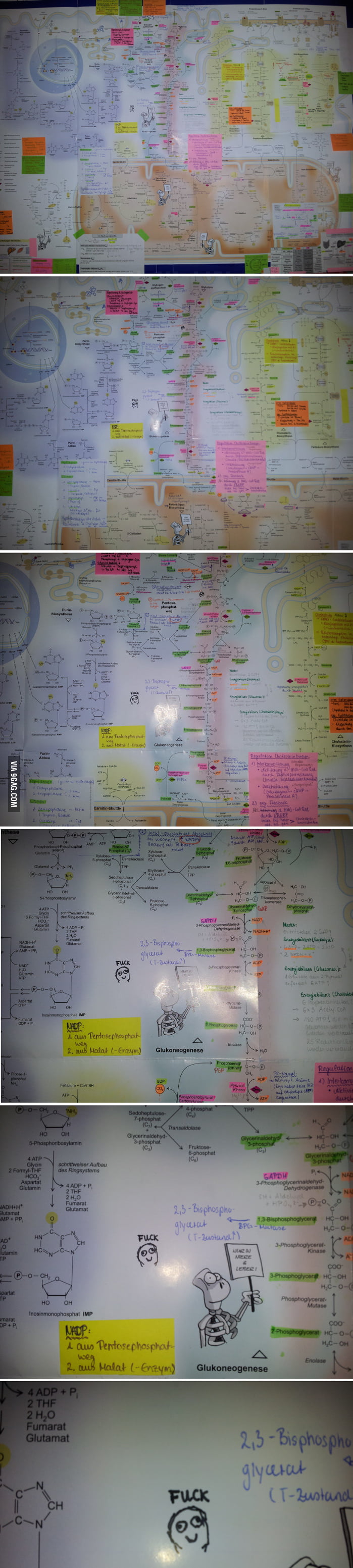 Biochemistry, I love you so much that I even did this for yo - 9GAG