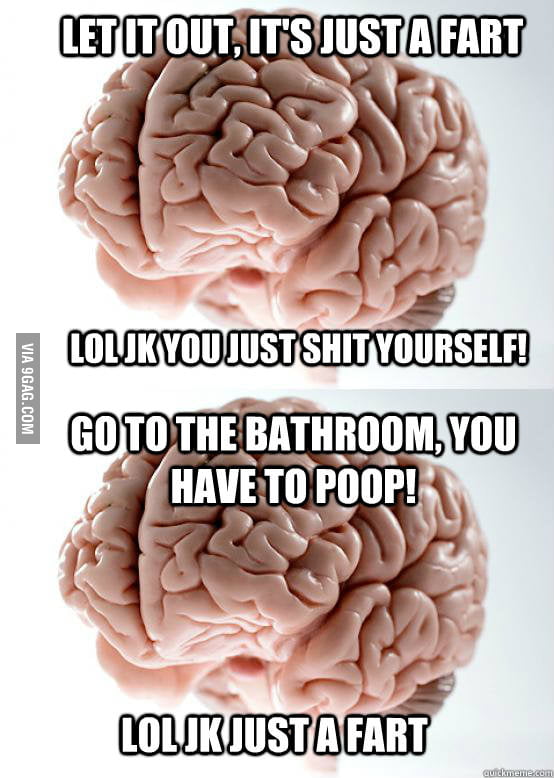 Scumbag Brain on bowel movements - 9GAG