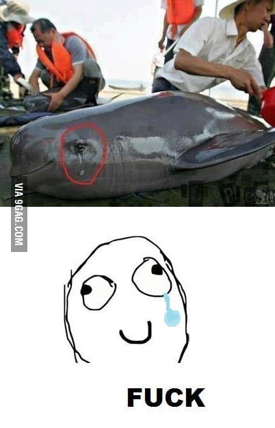 I Was Caught 9gag