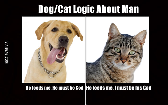 Dog/Cat Logic - 9GAG