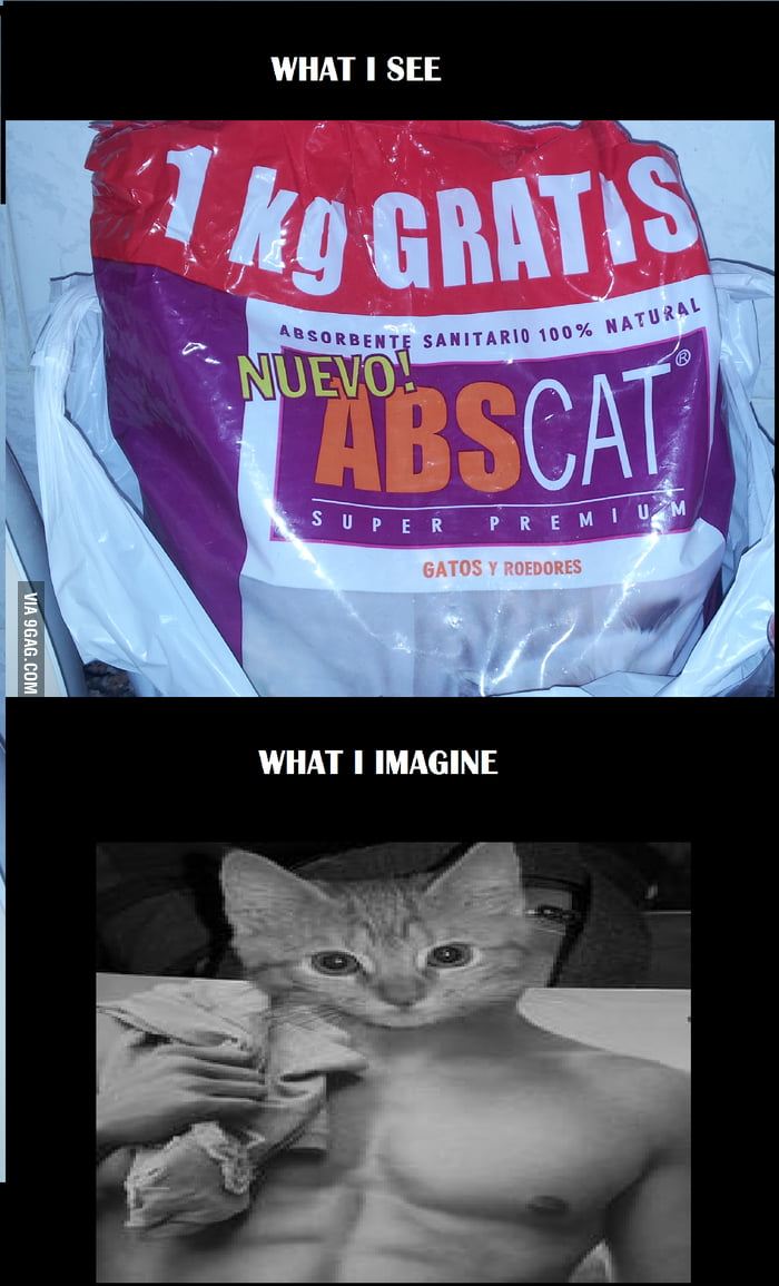 Cat ABS - 9GAG