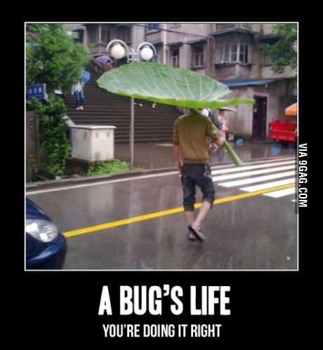 I didn't choose the Bug life... - 9GAG