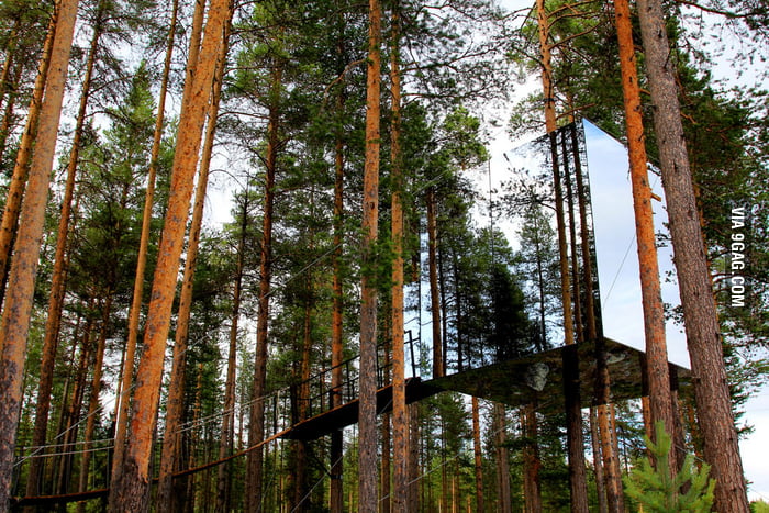 "Invisible" mirror treehouse in Sweden。 - 9GAG