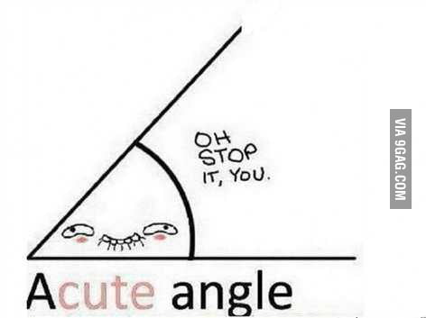 Acute angle... - 9GAG