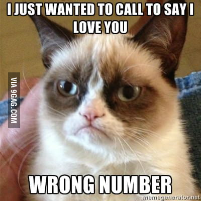 Grumpy Cat just being Grumpy Cat - 9GAG