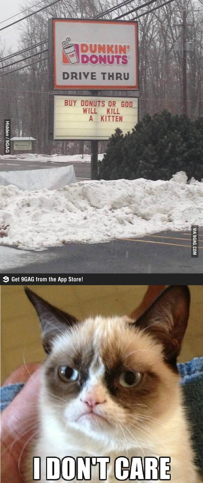 Grumpy cat dont care - 9GAG